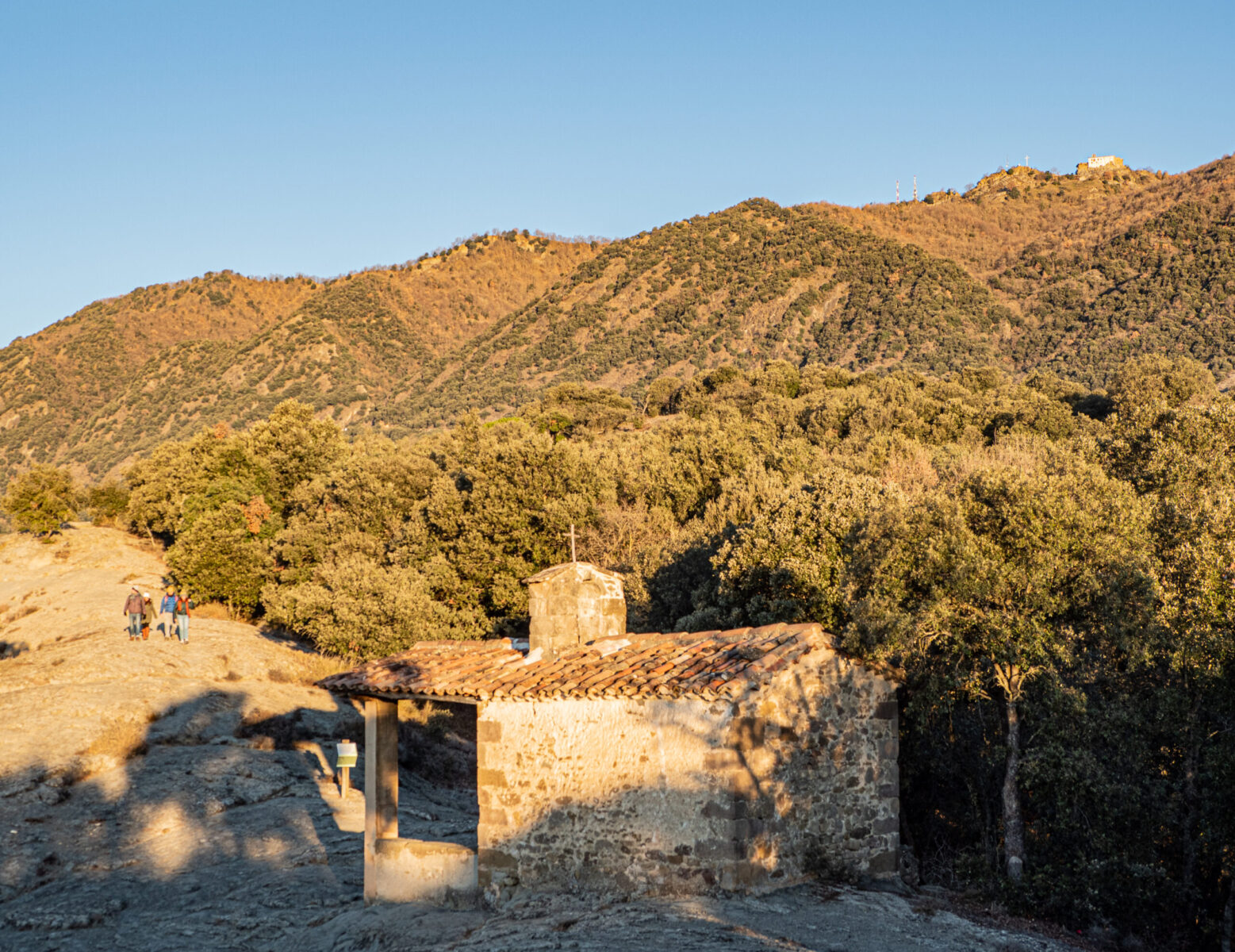 Sant Pere de Torelló • Osona Turisme