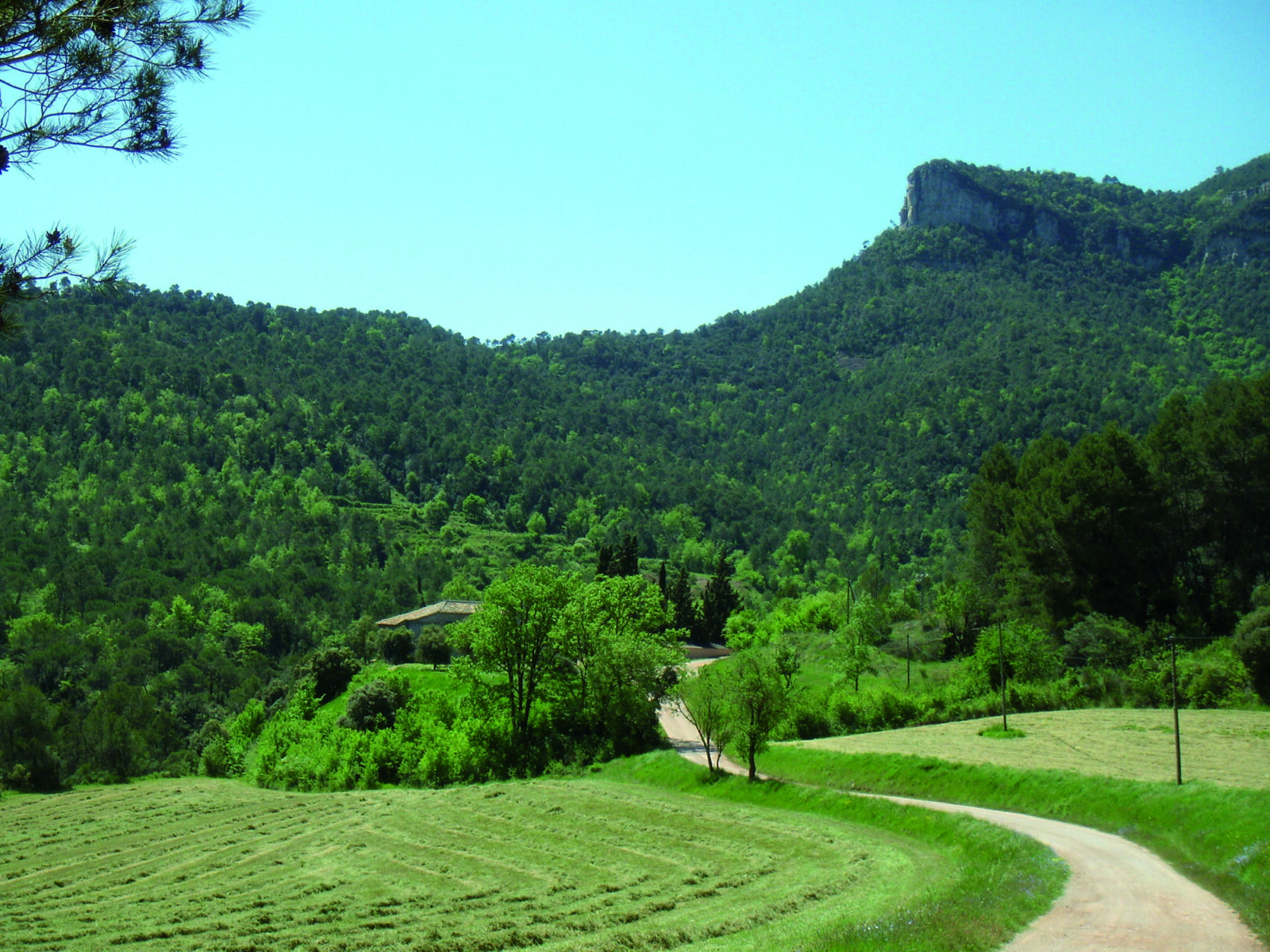 Sant Martí de Centelles • Osona Turisme